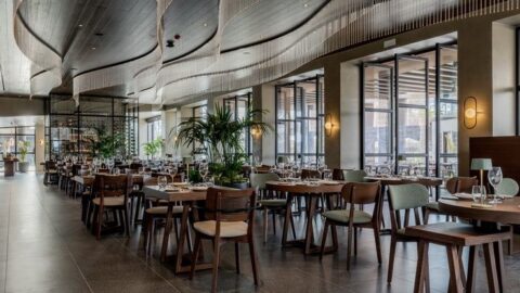 Restaurants & Bars - Pnoé Breathing Life